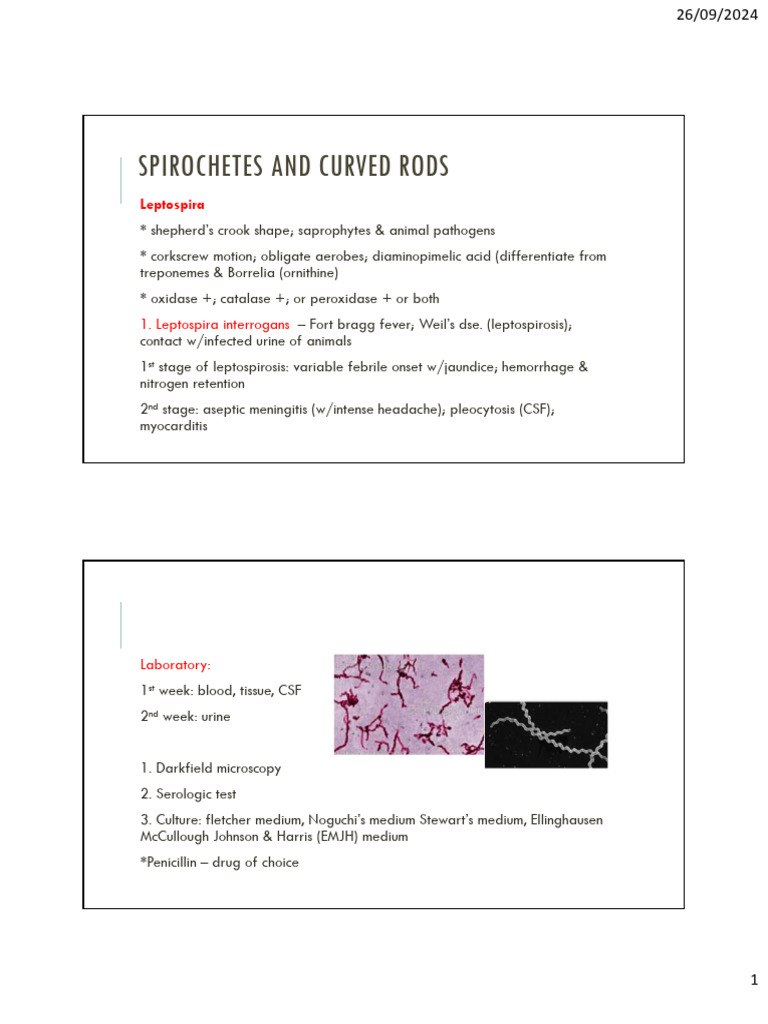 MICRO-last-topics | PDF | Mycoplasma | Immunology