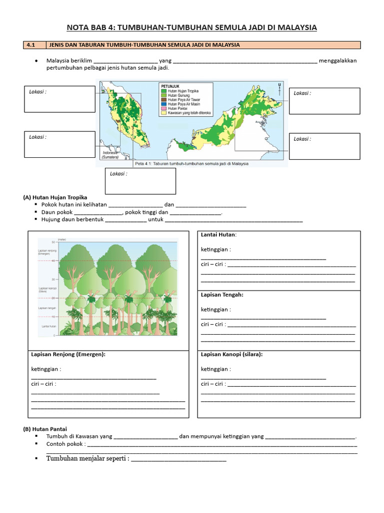 Nota Bab 4 Tumbuh Tumbuhan Semula Jadi Di Malaysia | PDF
