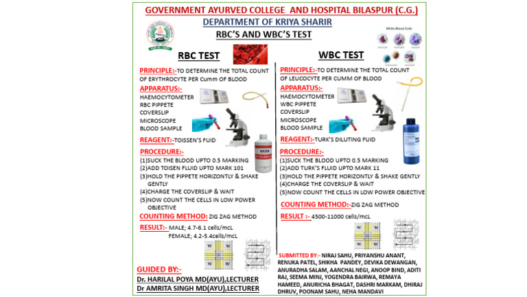 RBC and WBC Count Testing Procedure | PDF