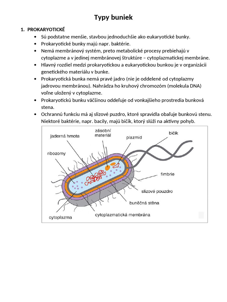 BIO A GEO | PDF