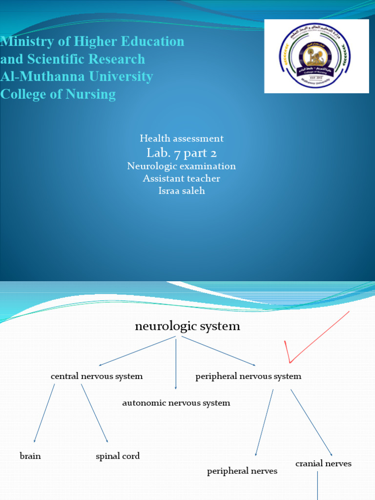 Lab.7 Neurologic Examination - PPTX | PDF | Human Anatomy | Nervous System