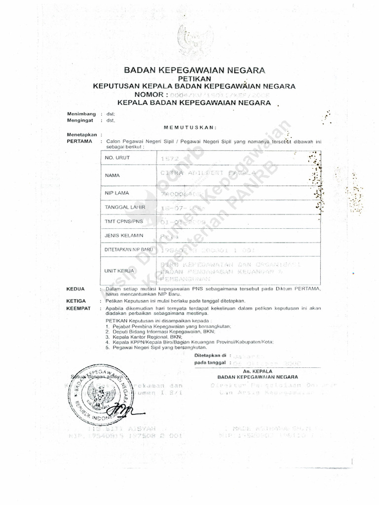 SK Penetapan Nip Baru | PDF