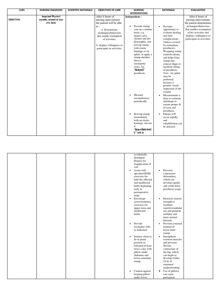 NCP Bka | PDF | Prosthesis | Amputation