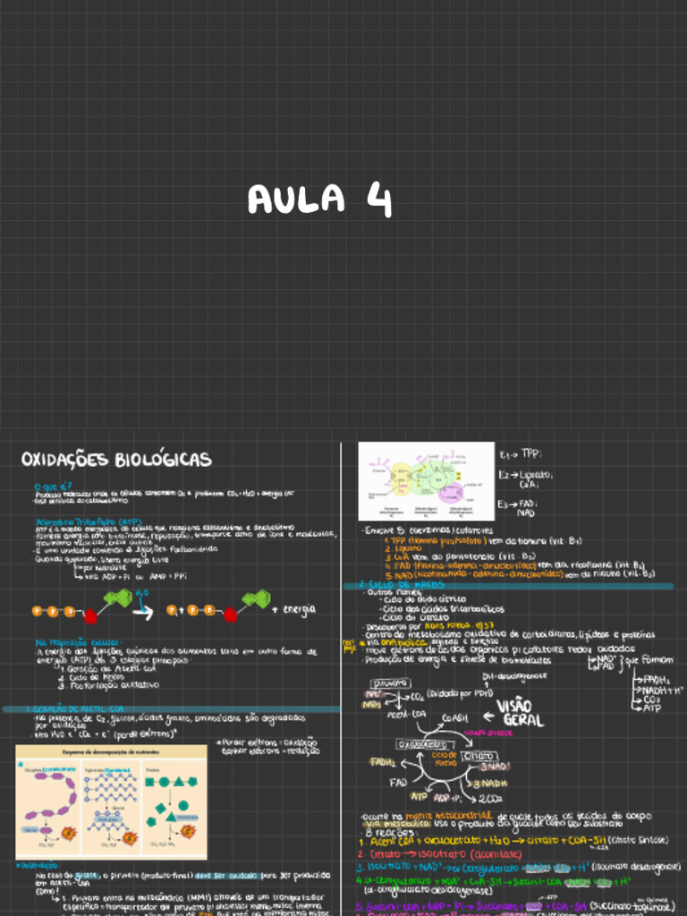 Bioquímica | PDF | Biofísica Molecular | Compostos orgânicos