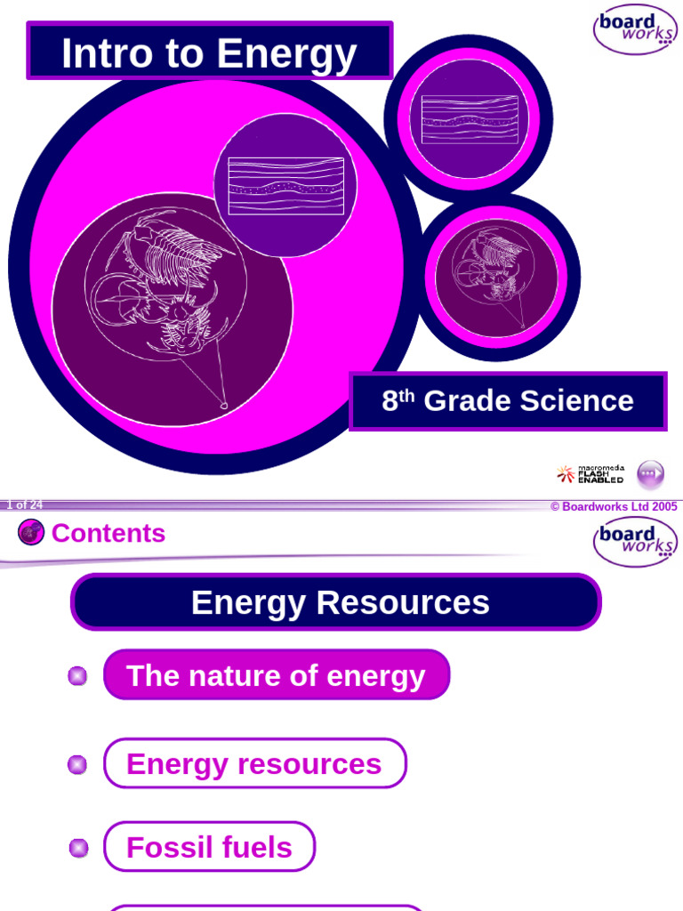 Energy Resources for 8th Grade Science | PDF | World Energy Resources ...