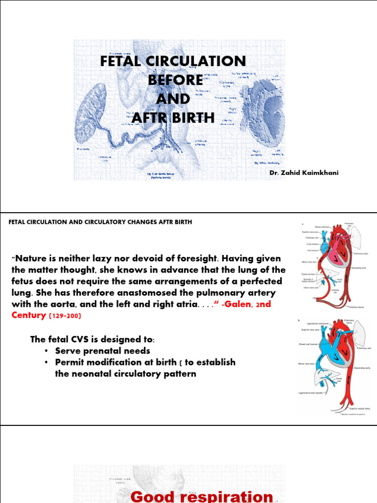 Fetal Circulation | PDF | Fetus | Atrium (Heart)