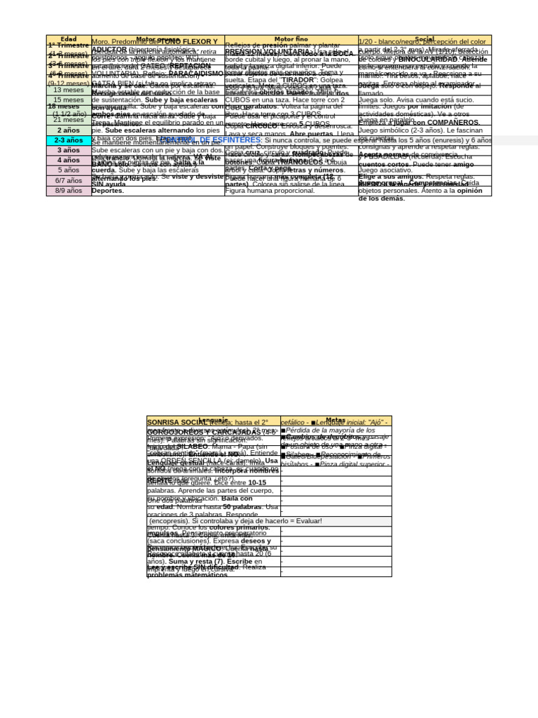 Desarrollo Infantil: Hitos por Edad | PDF