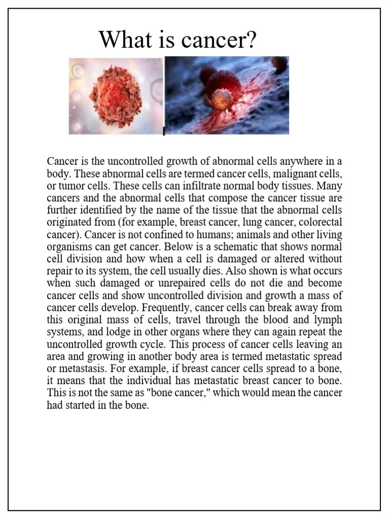 Mardul Shukla Biology Project | PDF | Cancer | Pancreas