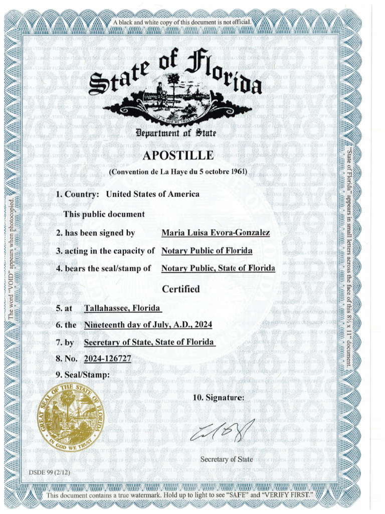 Apostilla - Connecting the Dots Lp - Residencia Fiscal | PDF