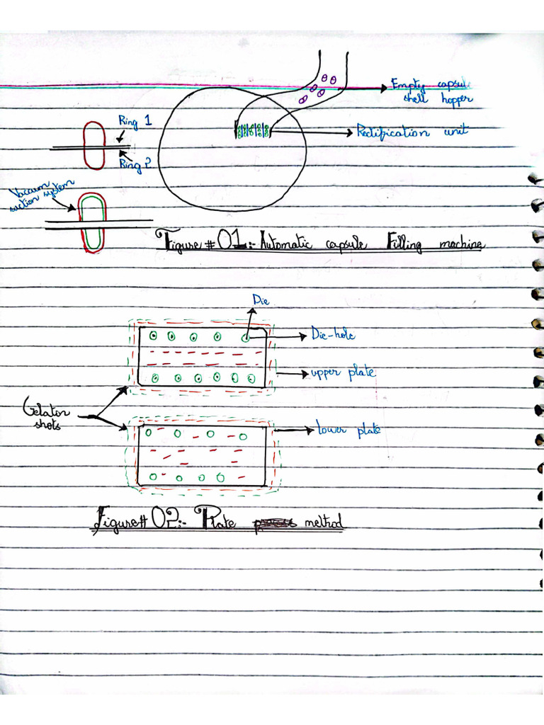 Capsules Diagram | PDF
