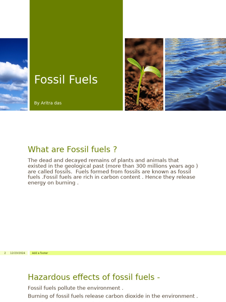 Fossil Fuels | PDF
