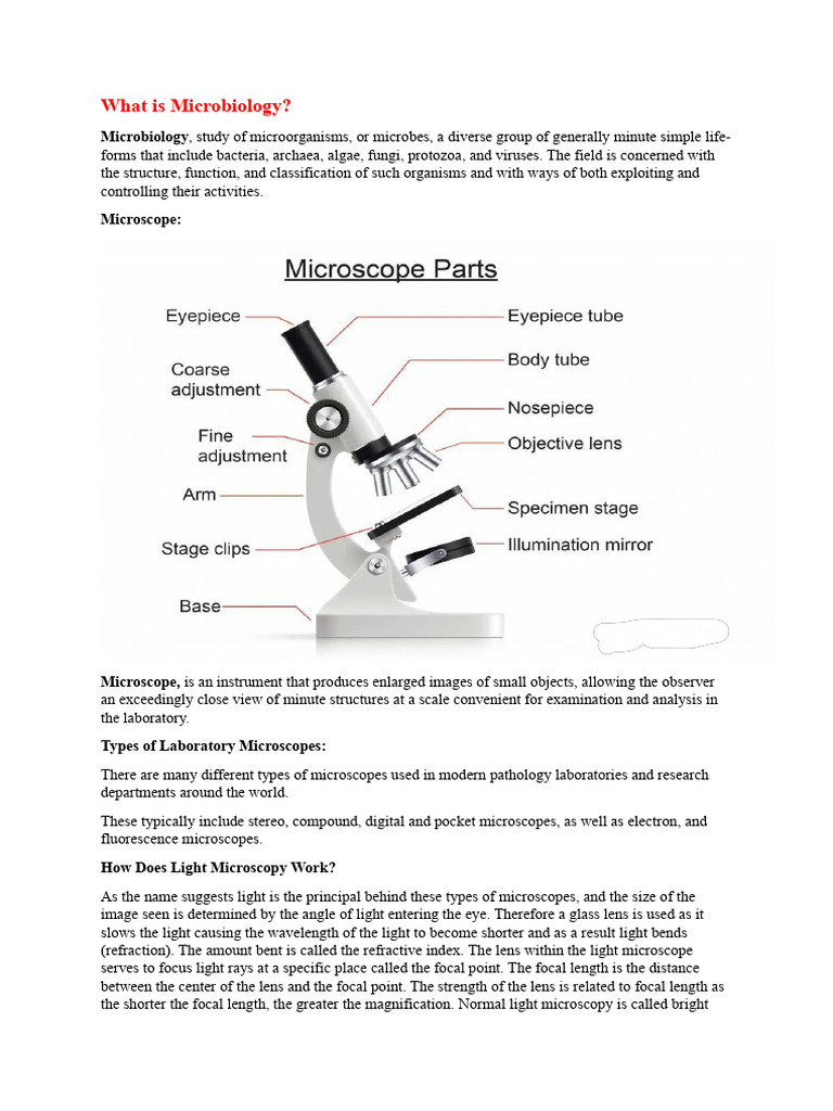 Microbiology basics | PDF | Bacteria | Sterilization (Microbiology) Microbiology basics | PDF | Bacteria | Sterilization (Microbiology)