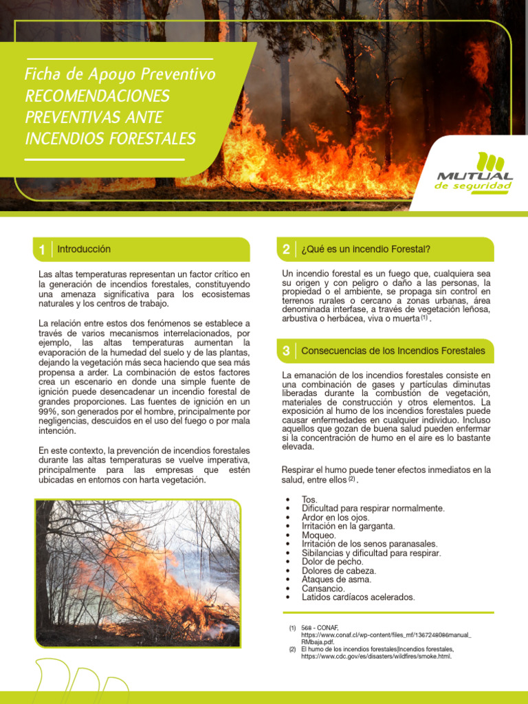 Recomendaciones incendios forestales | PDF | Fuego fatuo | Incendios