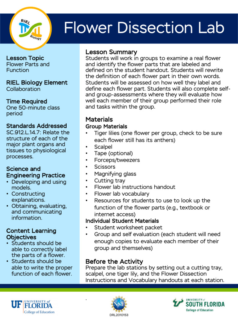 RIEL Biology Flower Dissection Collaboration | PDF | Flowers | Plant ...