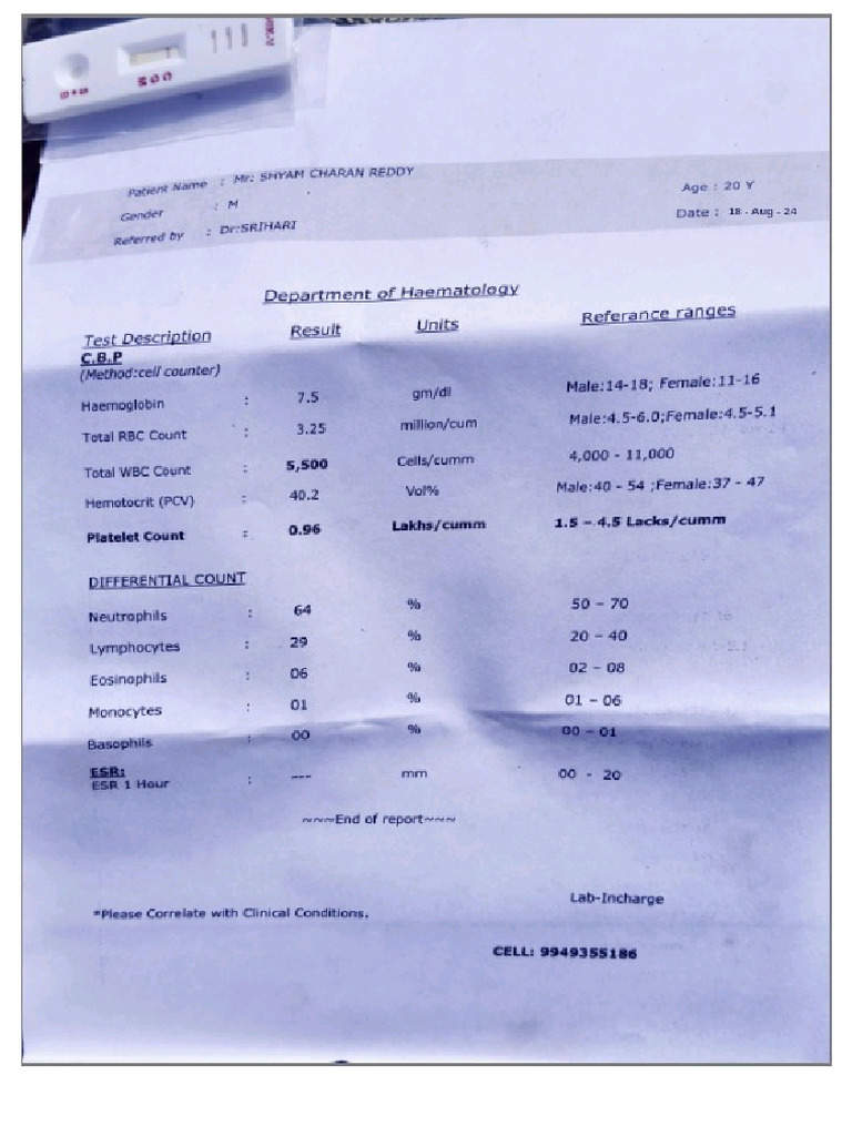 PDFGallery 20241127 135525 | PDF