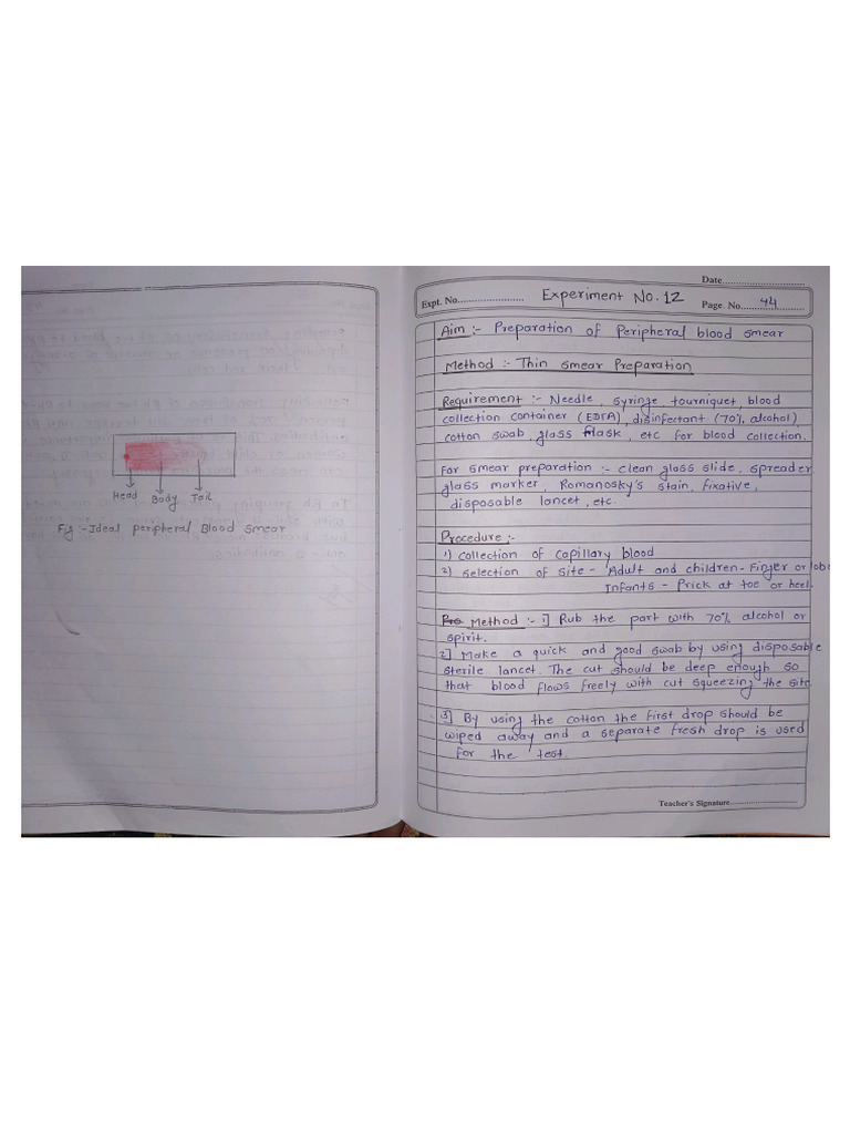 Experiment no 12 | PDF