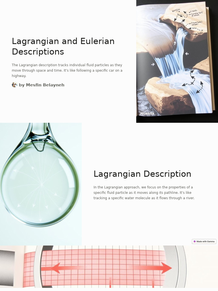Lagrangian and Eulerian Descriptions | PDF Lagrangian and Eulerian Descriptions | PDF