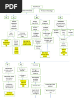 Diagnosa Keperawatan CKD | PDF | Pengembangan Diri | Kesehatan Holistik