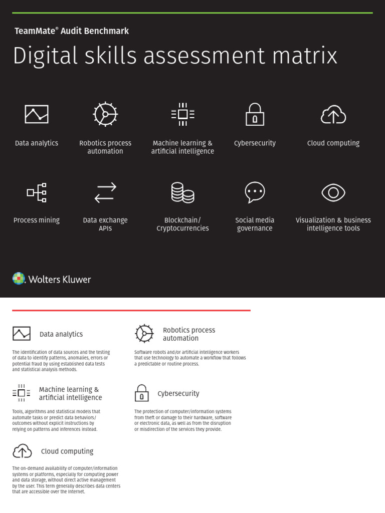 [TeamMate] Digital Skills Assessment Matrix | PDF | Artificial ...