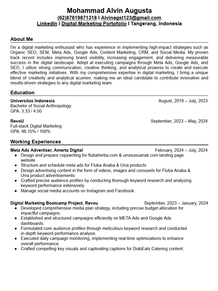 CV Mohammad Alvin Augusta | PDF | Digital Marketing | Search Engine Optimization
