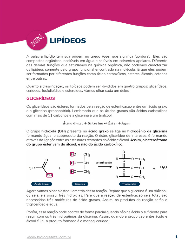 Tipos e Funções dos Lipídeos | PDF | Éster | Lipídio