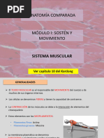 Ejemplos de Movimiento Ameboide | PDF | Músculo esquelético | Biología ...