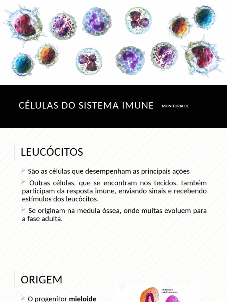 Células do Sistema Imune: Tipos e Funções | PDF | Glóbulo branco ...