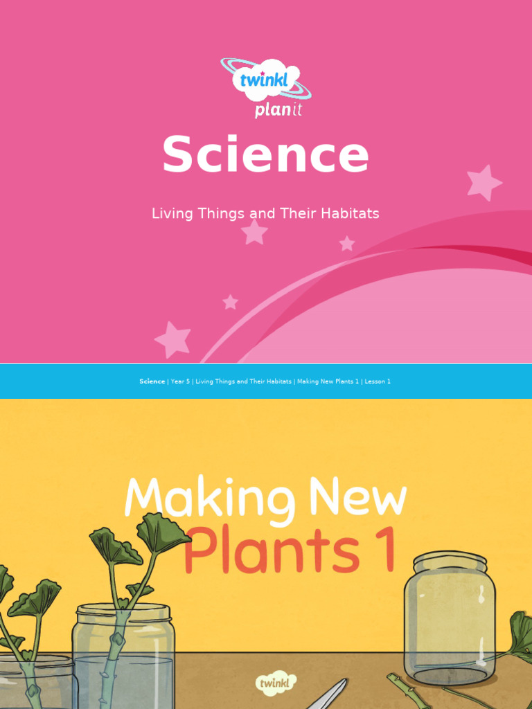 Lesson Presentation New Plants 1 | PDF