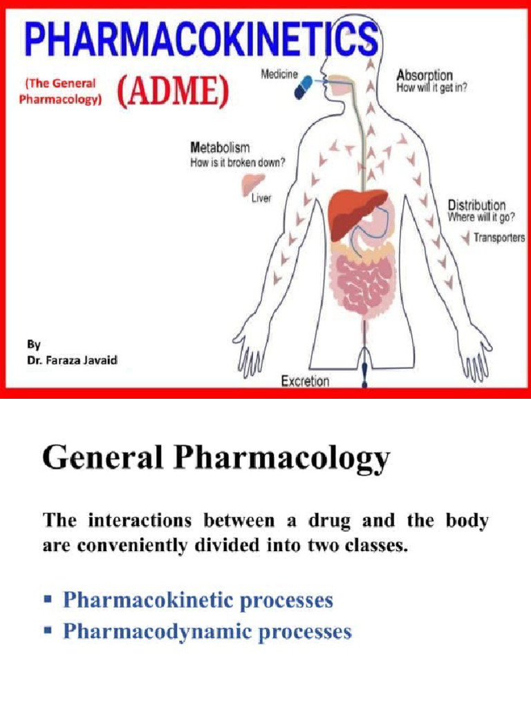 Drug Absorption and Ionization Factors | PDF