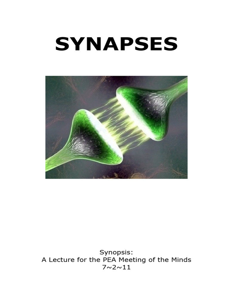 Raj MADHOK SYNAPSES-PEA-Color | PDF