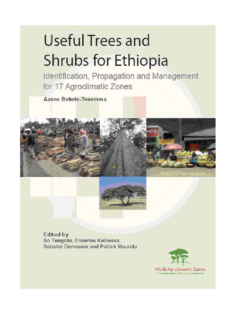 Usefull Trees and Shrubs for Ethiopia Red2 | PDF | Plant Nursery | Seed