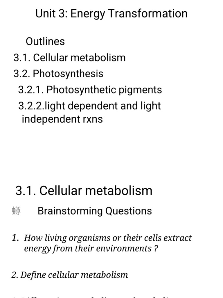 Grade 12 Bio Unit 3 Short Notes Oda Sbs | PDF | Cellular Respiration ...