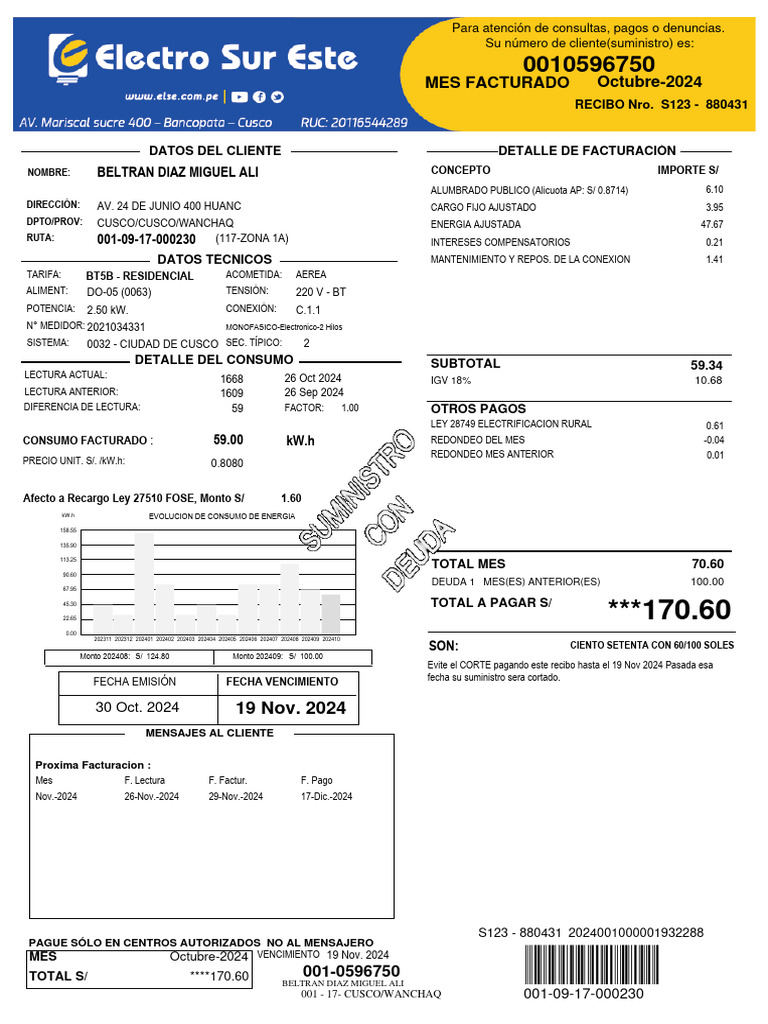 0010596750_202410 | PDF