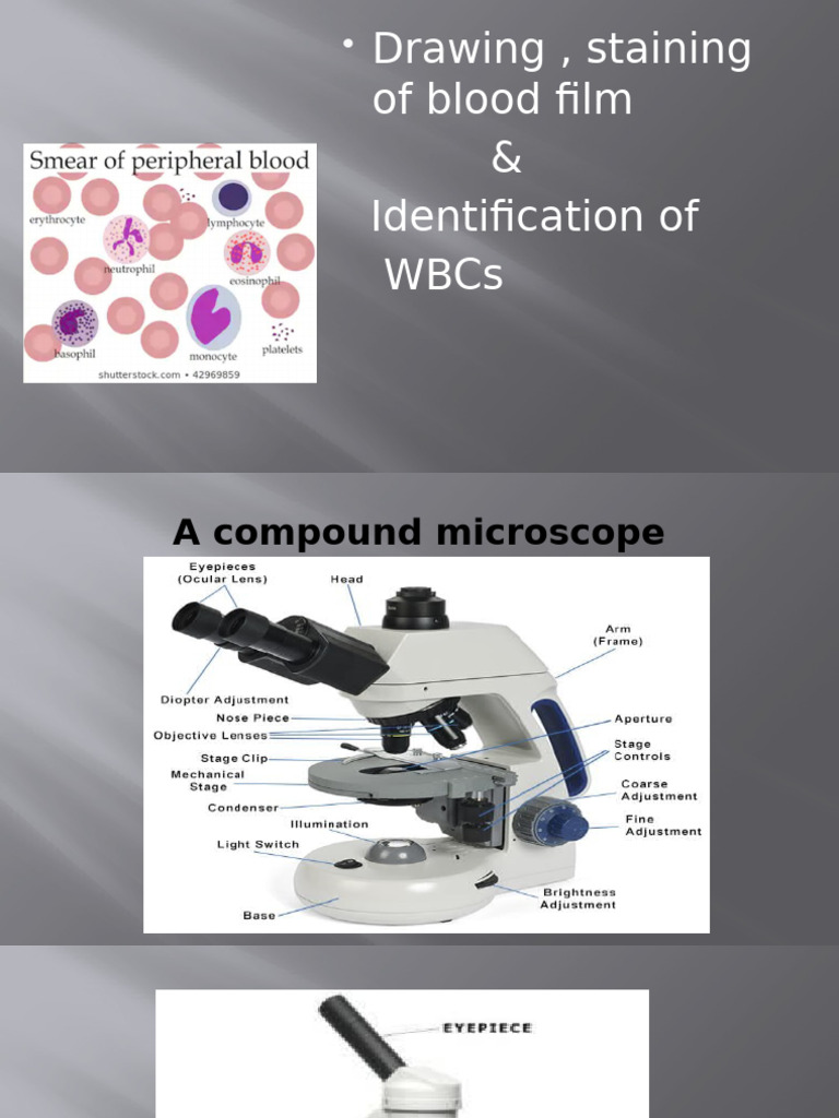 Drawing, Staining of Blood Film | PDF