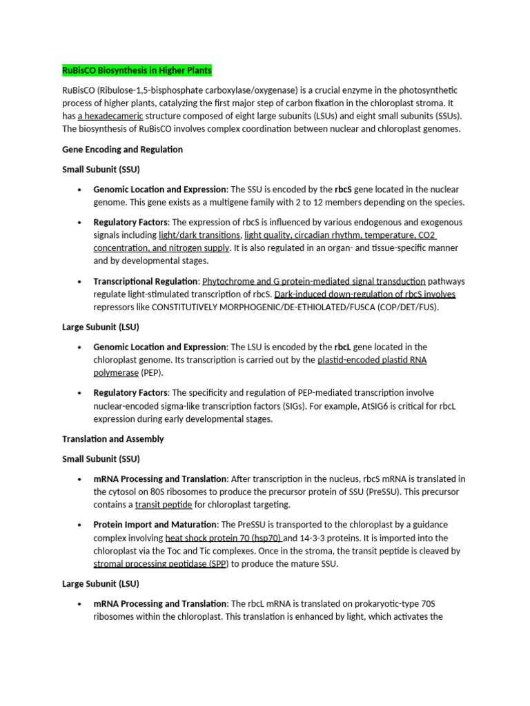 RuBisCO Biosynthesis in Higher Plants | PDF | Protein Targeting | Endoplasmic Reticulum