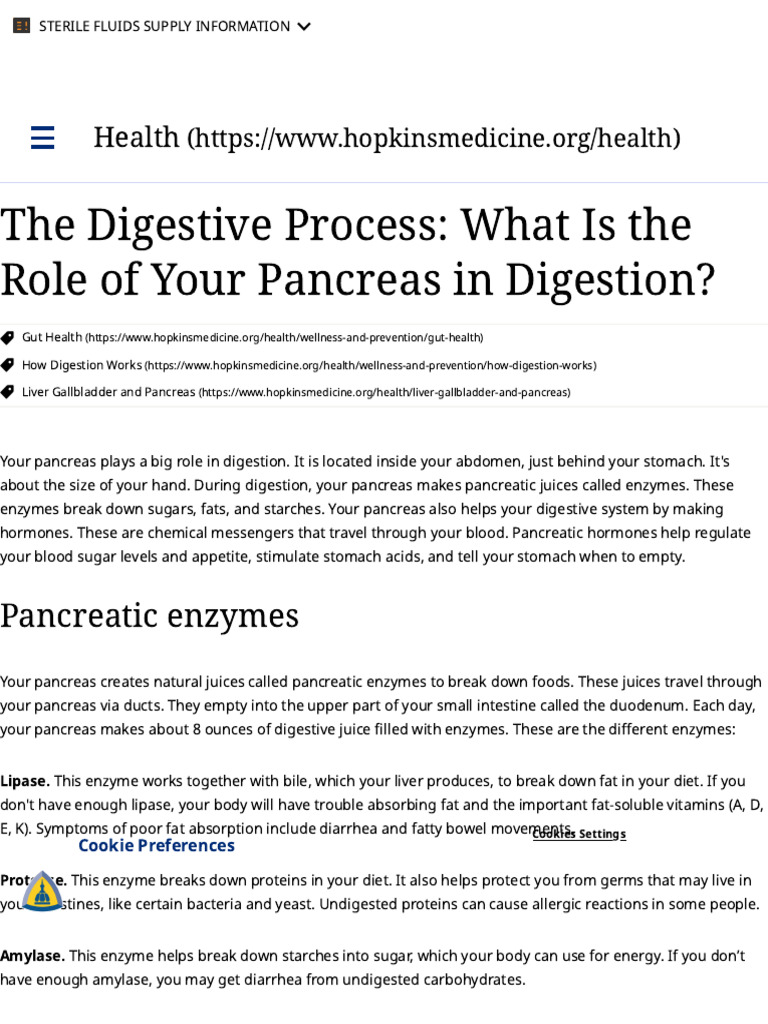 The Digestive Process - What Is The Role of Your Pancreas in Digestion ...