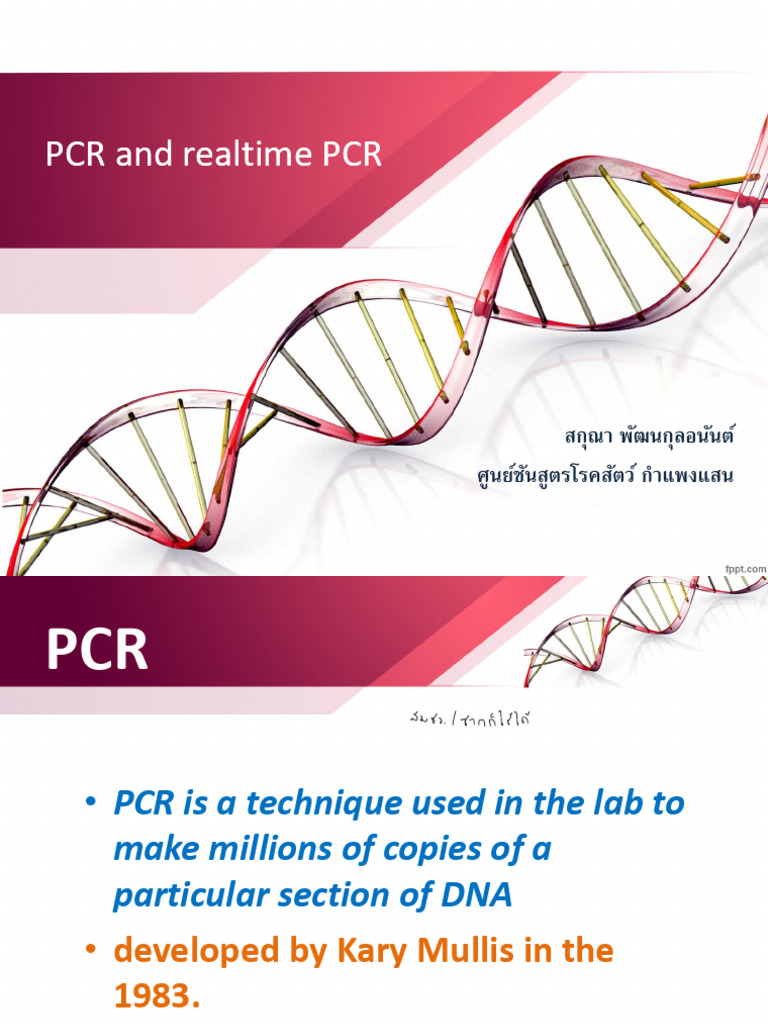 PCR - realtime PCR 2024 | PDF | Polymerase Chain Reaction | Real Time ...