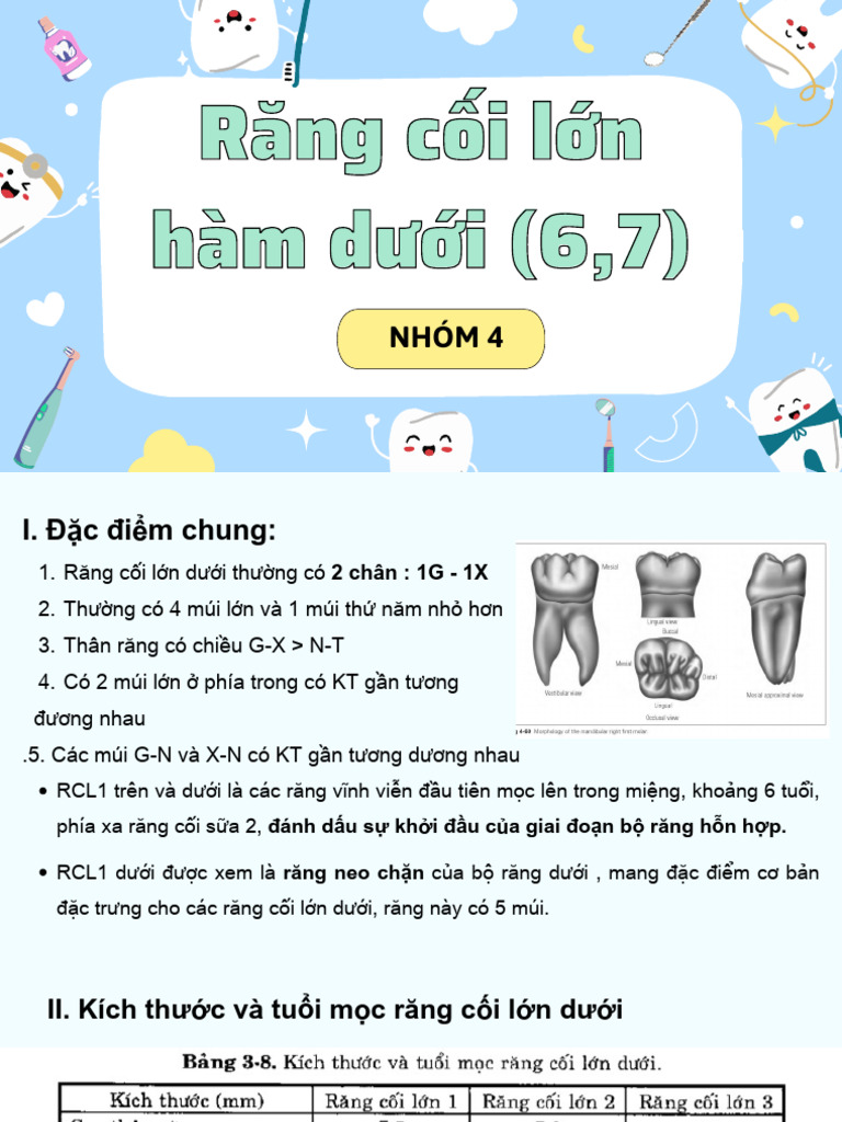 RCL Hàm Dư I 67 | PDF