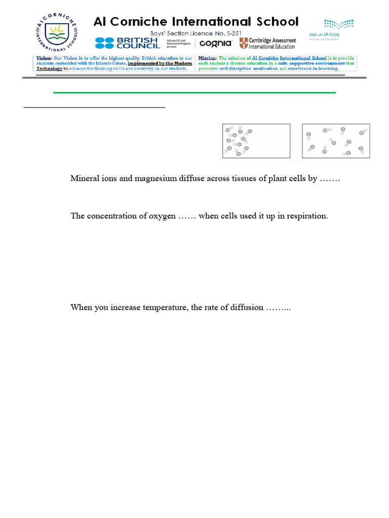 Grade 8 Biology Diffusion Quiz | PDF | Diffusion | Osmosis