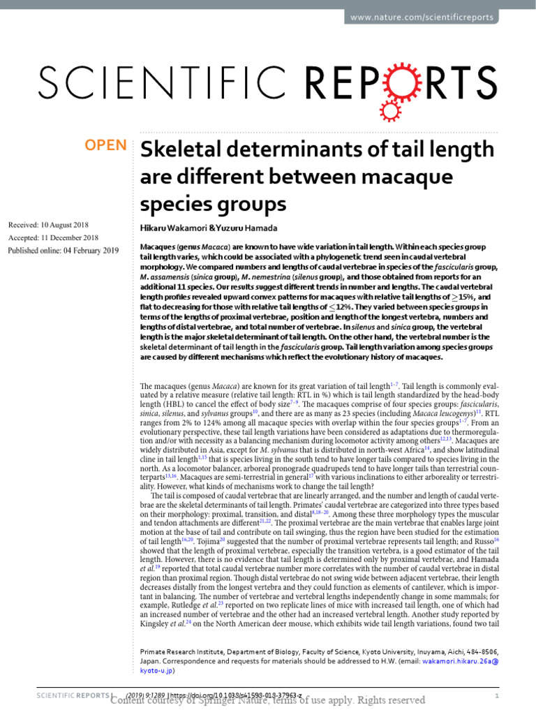 Skeletal Determinants of Tail Length Are Different | PDF | Vertebra
