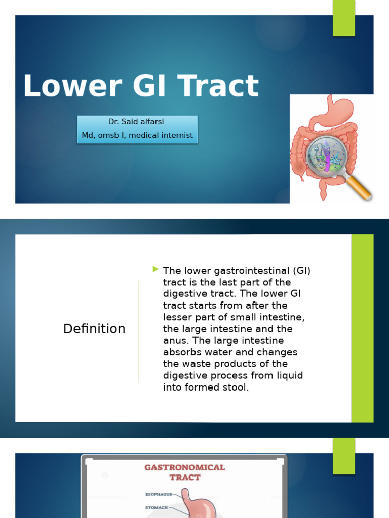 Lower GI tract 2 | PDF | Gastrointestinal Tract | Constipation