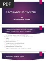 Combining Form Meaning Example Meaning of Term Angi/o Vas/o Aort/o ...