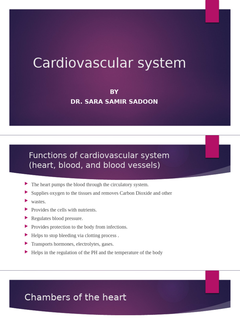 Cardiovascular System (1) | PDF | Heart | Artery