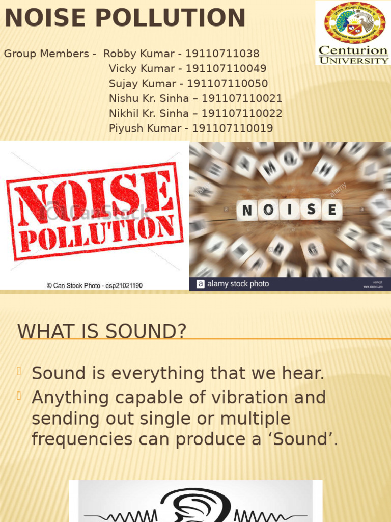 IPWM - NOISE POLLUTION | PDF | Noise | Hearing