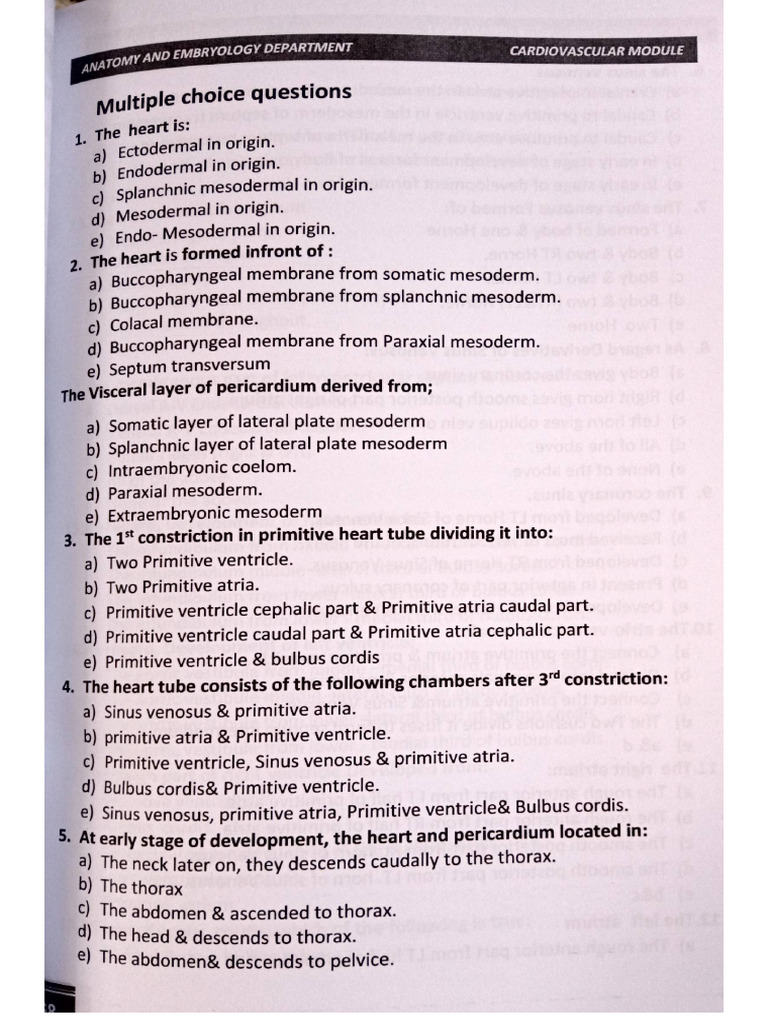 MCQ Anatomy and Embryology CVS | PDF