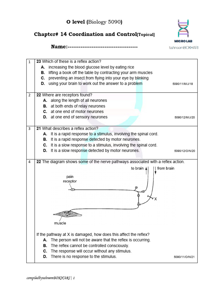 Reflex Actions and Eye Coordination | PDF | Nervous System | Insulin