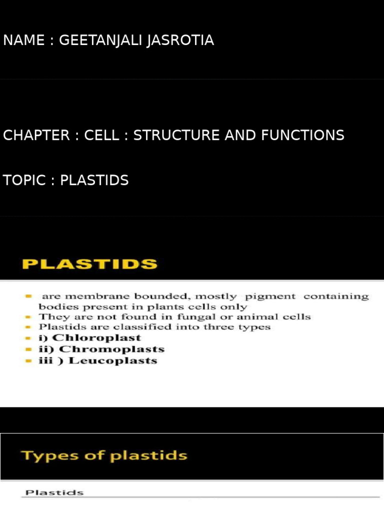 Understanding Plant Plastids Functions | PDF