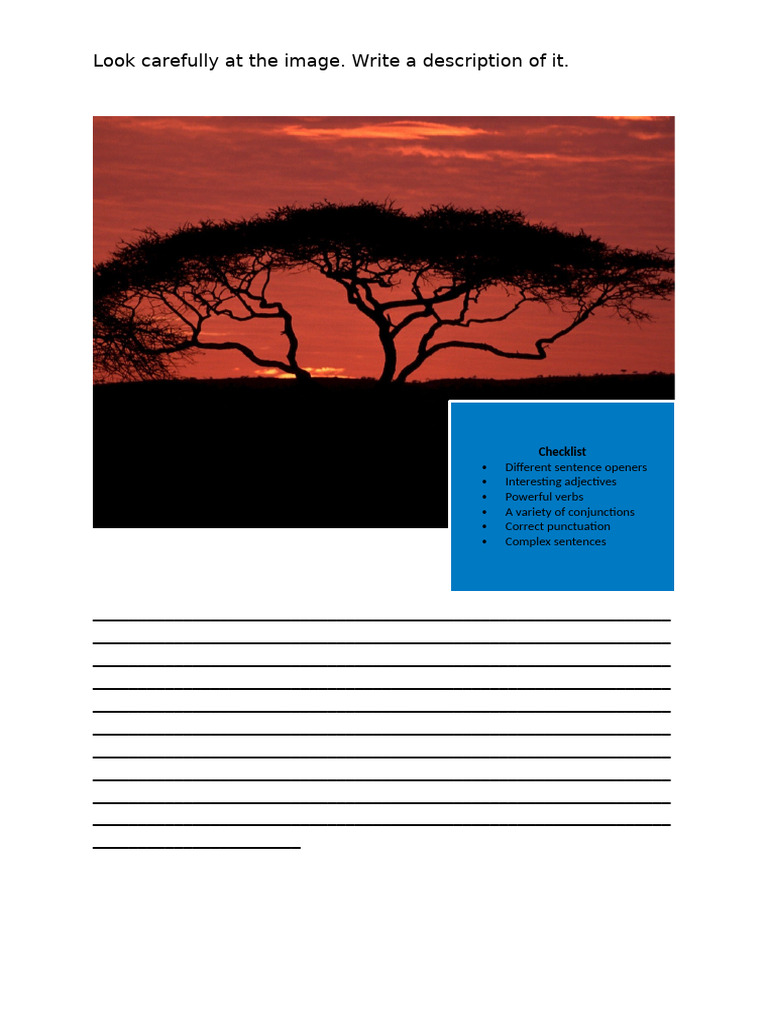 Look Carefully at The Image | PDF
