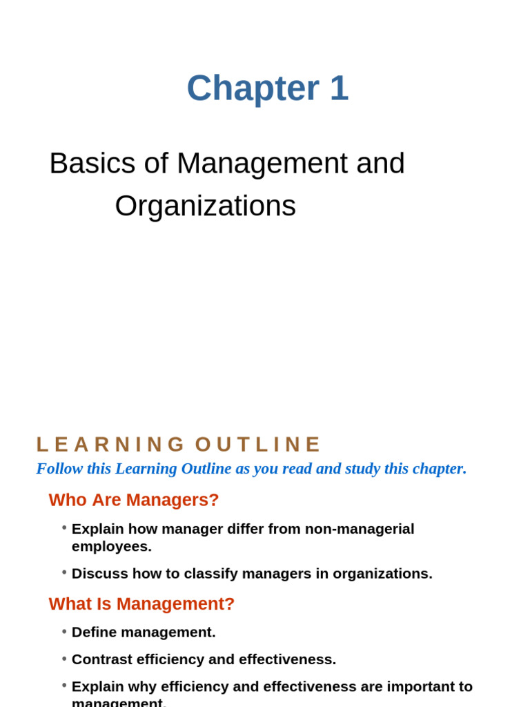 Chapter 1 Basics of Management and Organizations | PDF | Information | Goal