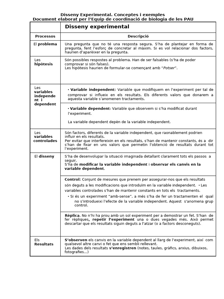 Disseny - Experimental | PDF